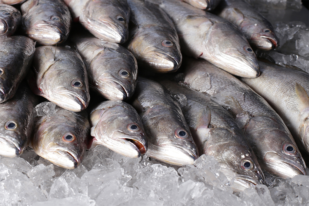 Ammimar Pescados y Mariscos